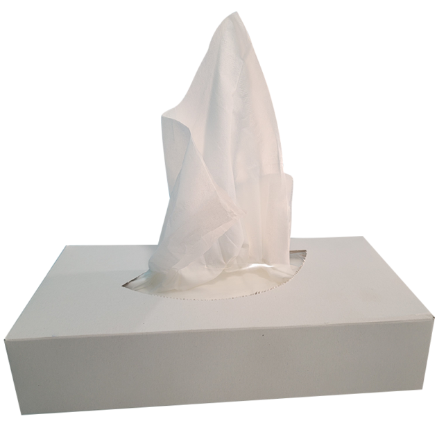 Facial Tissue 100’s (White Slaute)1 x 42ctn - My Office Supply